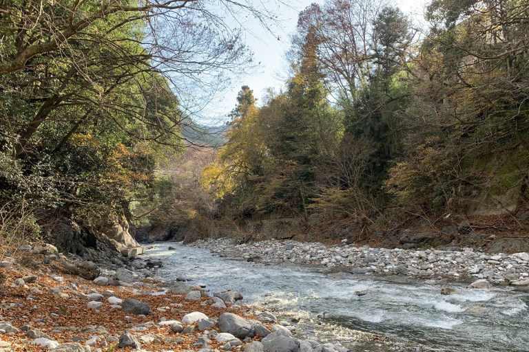 Rivers of Tokyo